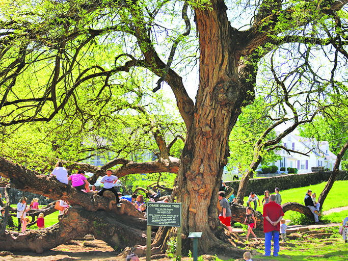 Old Fort Harrod State Park - Historic Harrodsburg Kentucky